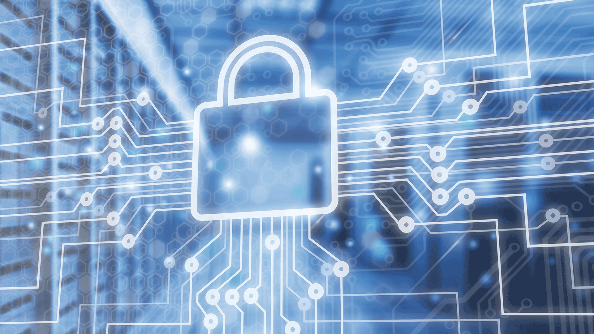 Seguridad y gestión de la privacidad de los datos - BD Consultores